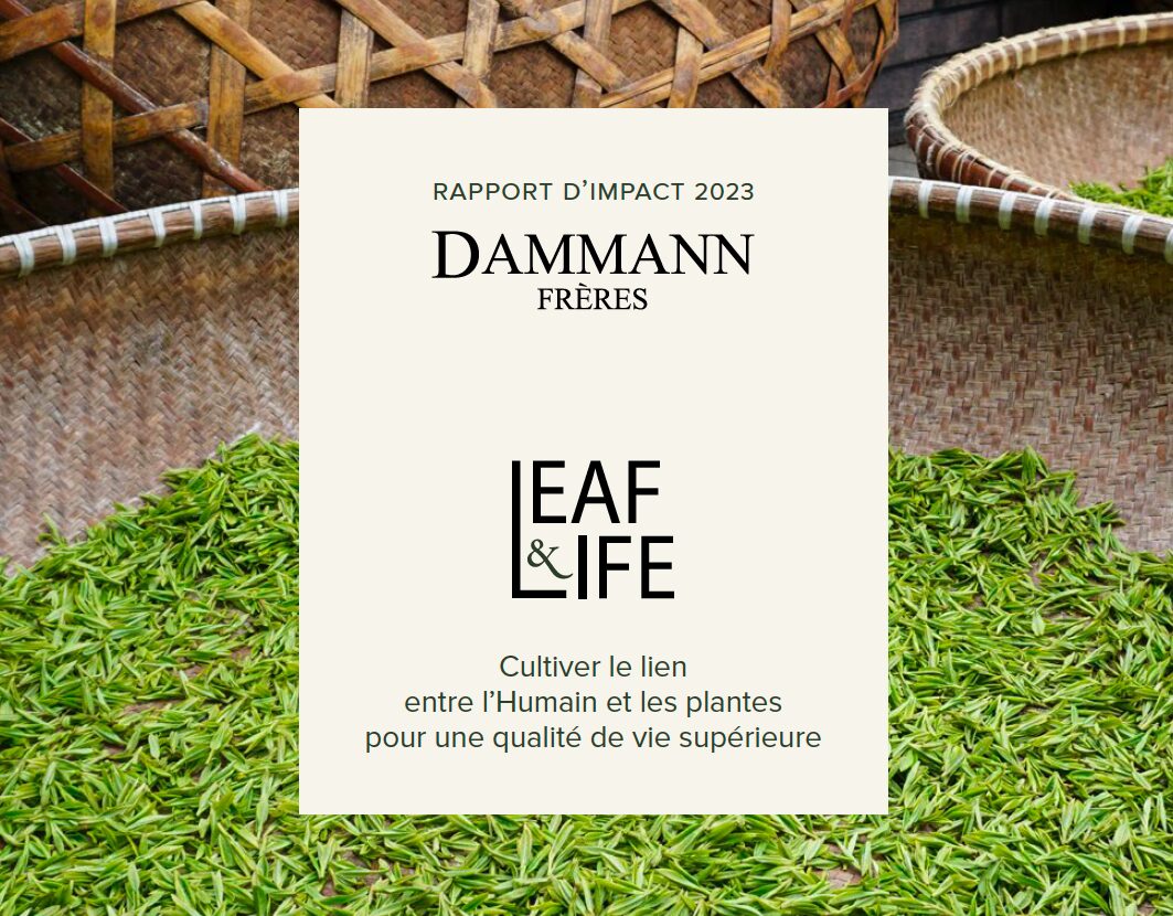 DAMMANN FRÈRES - Rumeur Publique